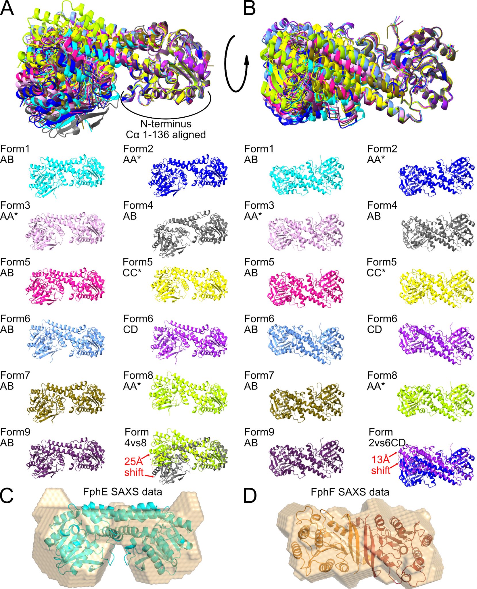 Fellner Research Group – Information about all things protein in the ...