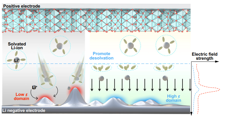 New paper in Nature Communications – Keith Gordon Research Group