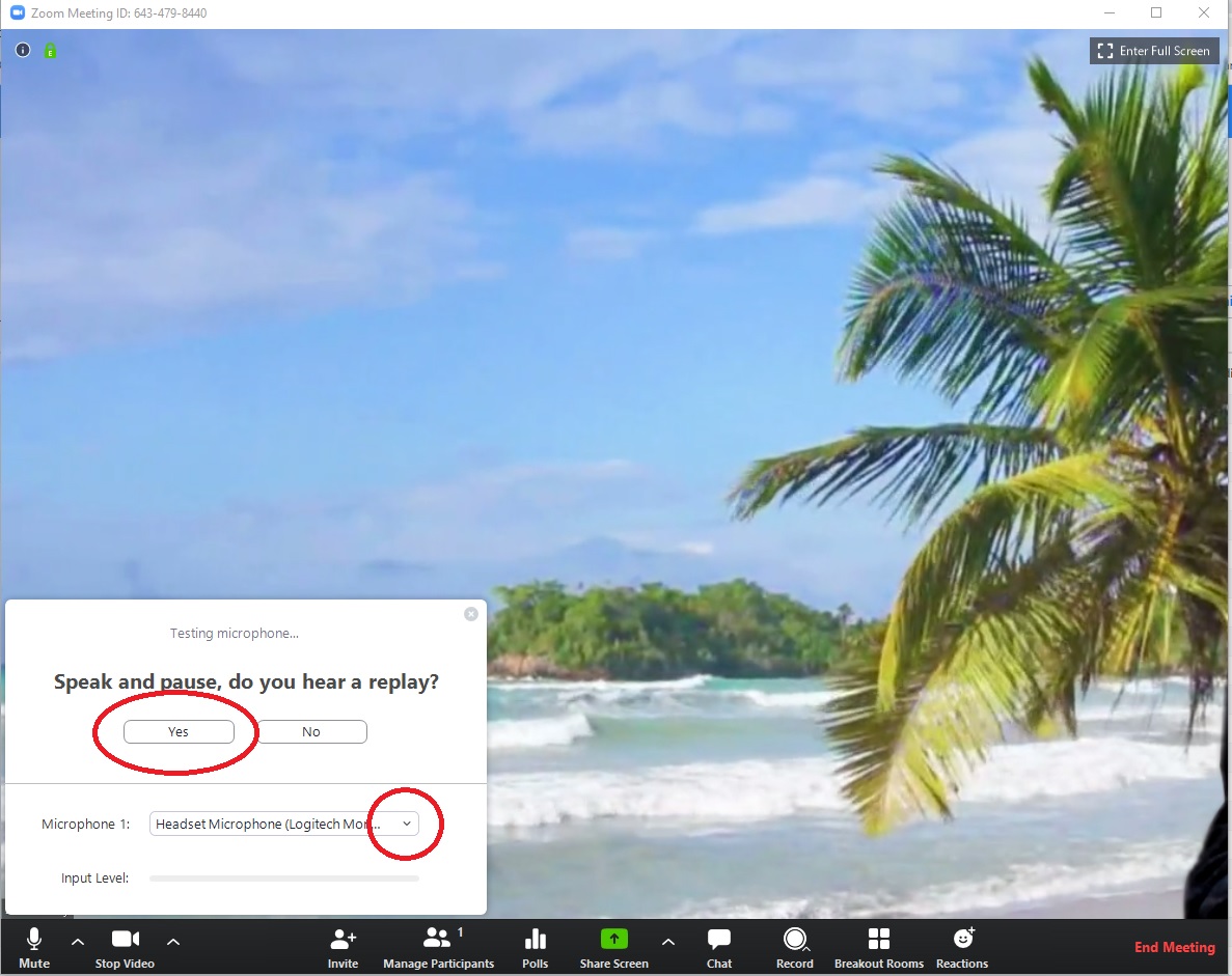 How to Join a Meeting and check your setup | Zoom